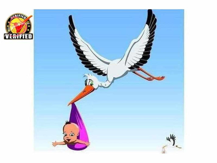 39 Beba & Roda na putu pošalji telegram ☎ 099 6606 930 " – TELEGRAMI ...