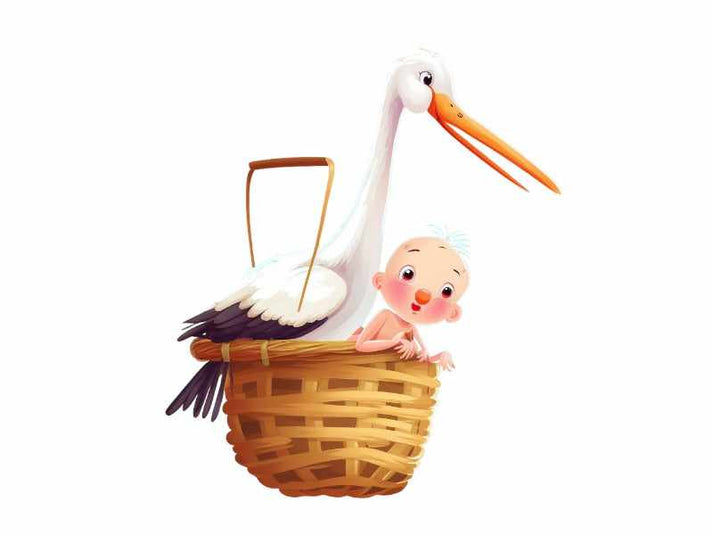 3D RODA I BEBA U KOŠARI S ČESTITKOM 099 6606 930 – TELEGRAMI-BRZOJAVI.EU